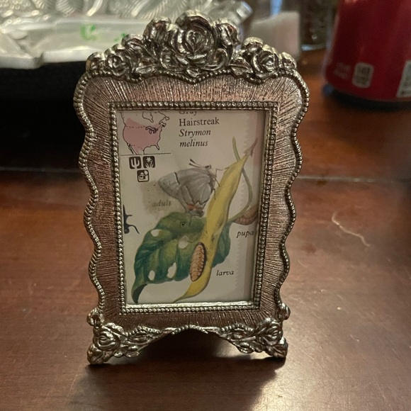 Hand Crafted | Art | Butterfly Life Cycle Frame | Poshmark
